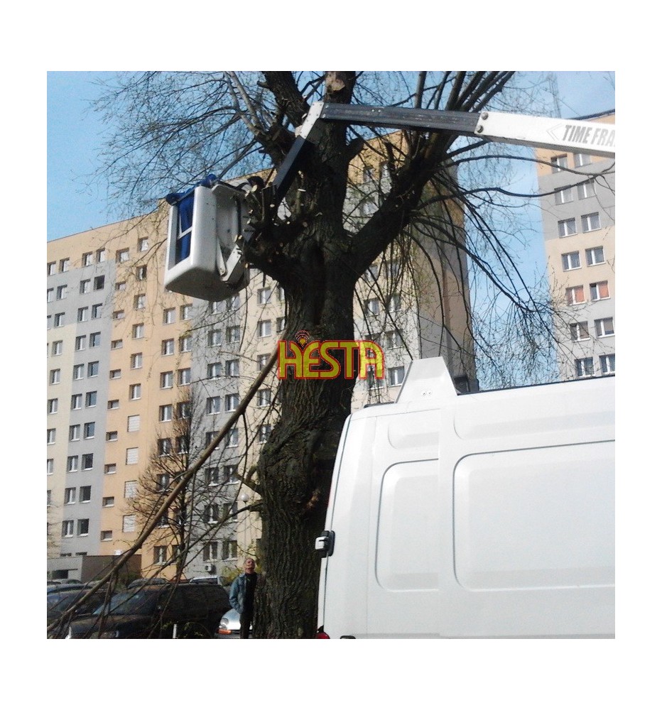 Cutting down trees, shrubs, branches undercut - basket lift rental ...