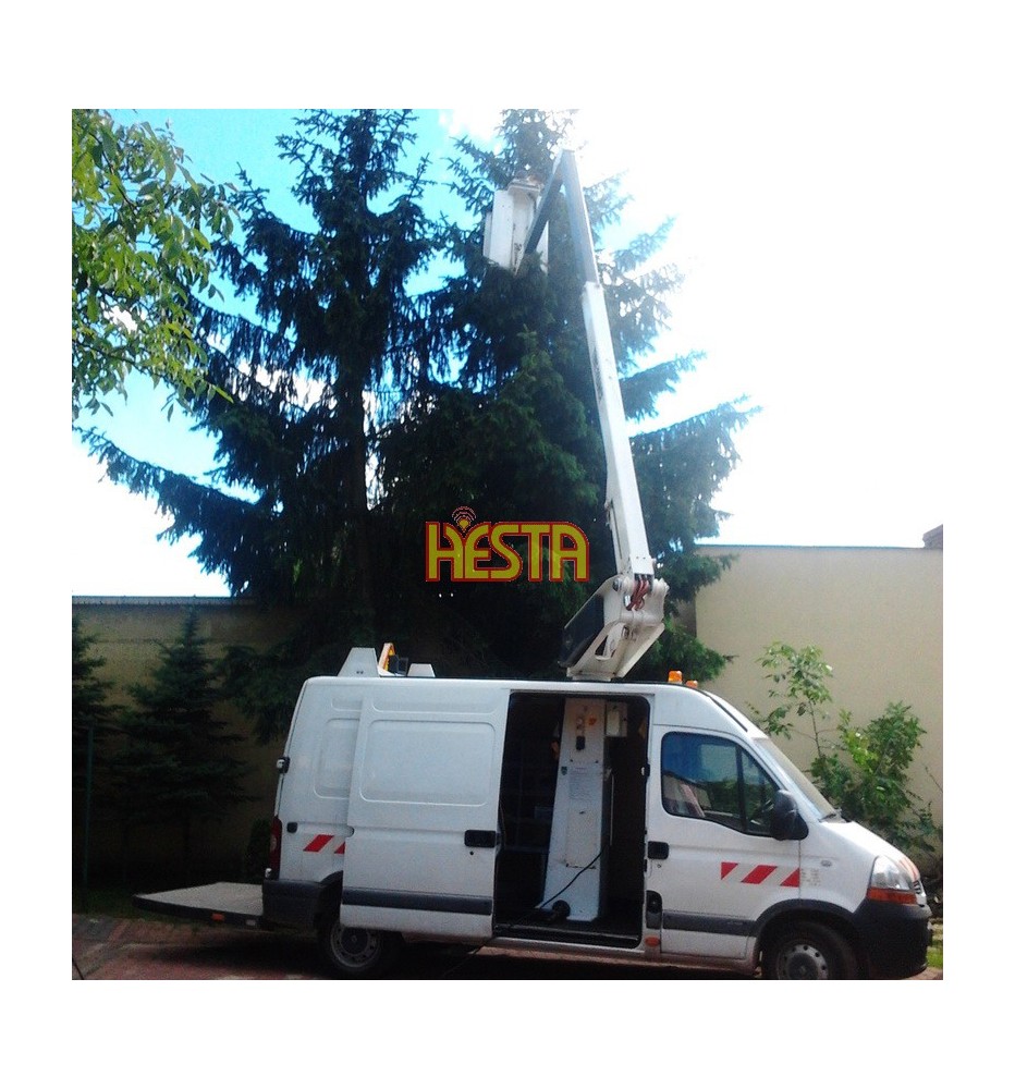 Cutting down trees, shrubs, branches undercut - basket lift rental ...